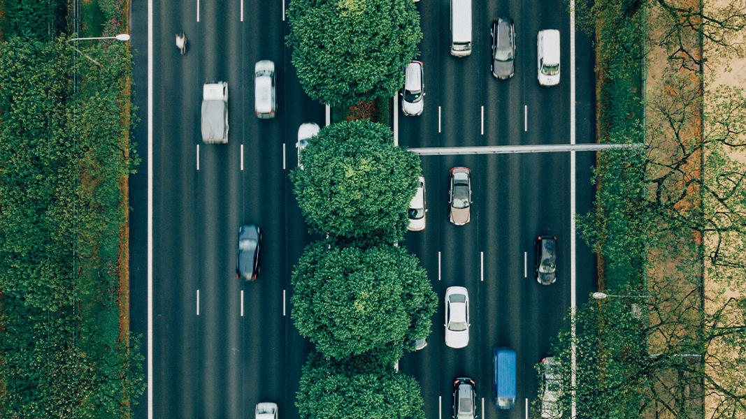 Avada (ASX: AVD) - The Sentiment